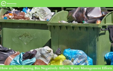How an Overflowing Bin Negatively Affects Waste Management Efforts ...